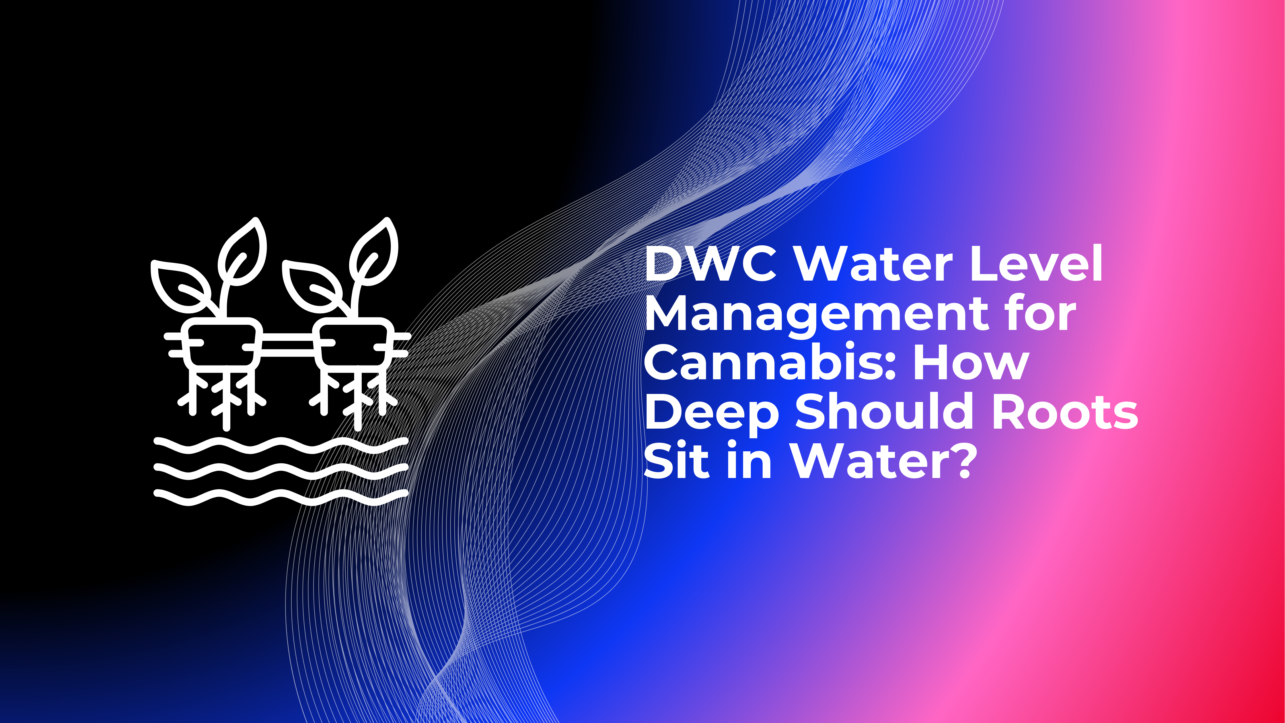 DWC Water Level Management for Cannabis: How Deep Should Roots Sit in ...