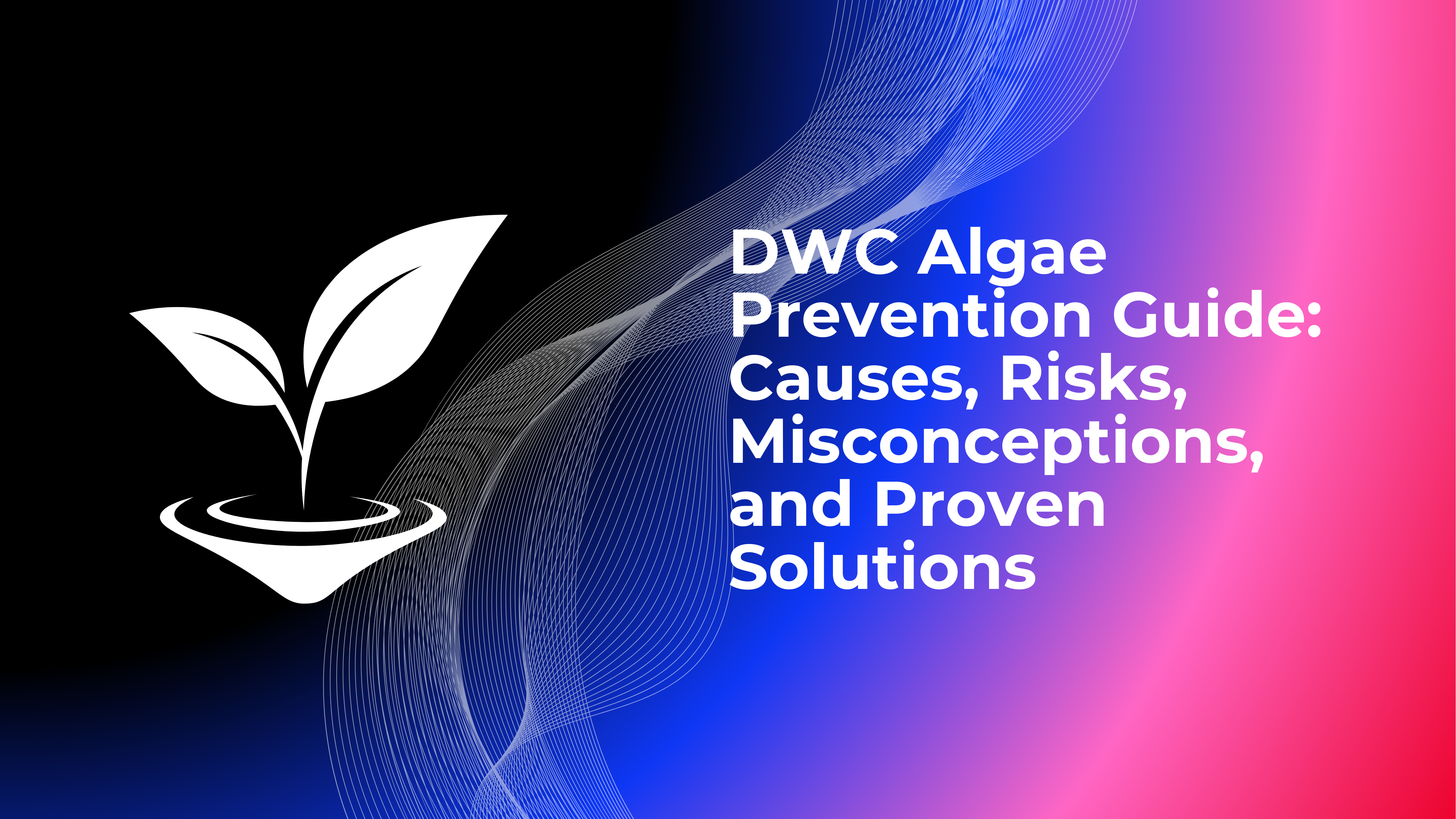 DWC Algae Prevention Guide: Causes, Risks, Misconceptions, and Proven ...