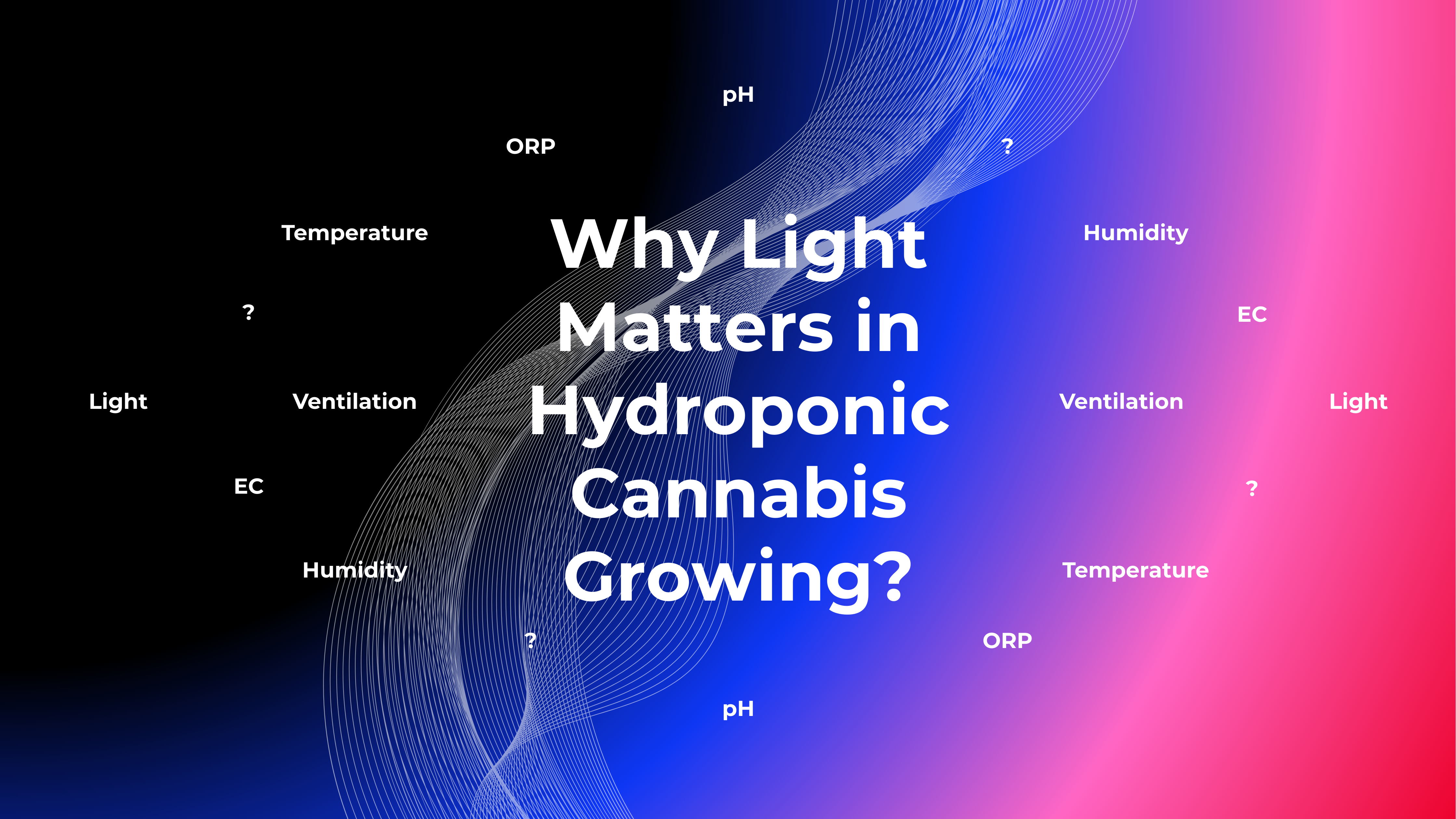 Why Light Matters in Hydroponic Cannabis Growing? – RootBox Hydro